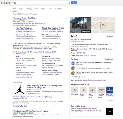 Google entītija — diagrammu paneļi — Nike