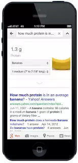 Google Nutritional Search Cell 1