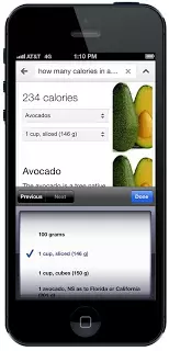 Google Nutritional Search Cell 2