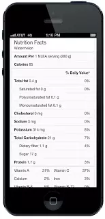 Google Nutritional Search Cell 3