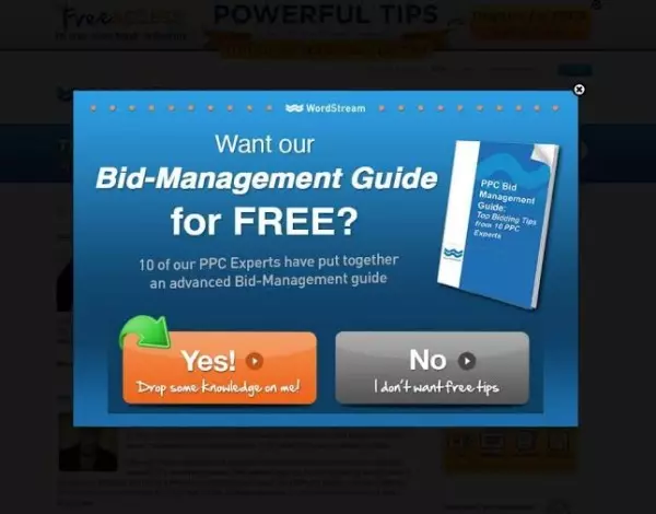 bidmanagement guide