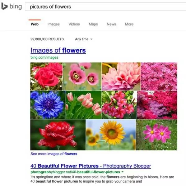 bing bilder av blommor