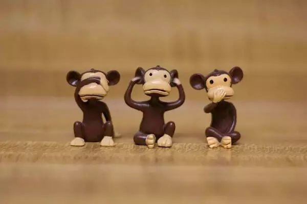 scimmie