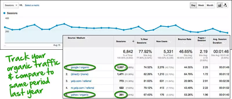 Google Analytics - organiese soekverkeer