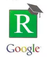 revisori esperti regionali di Google