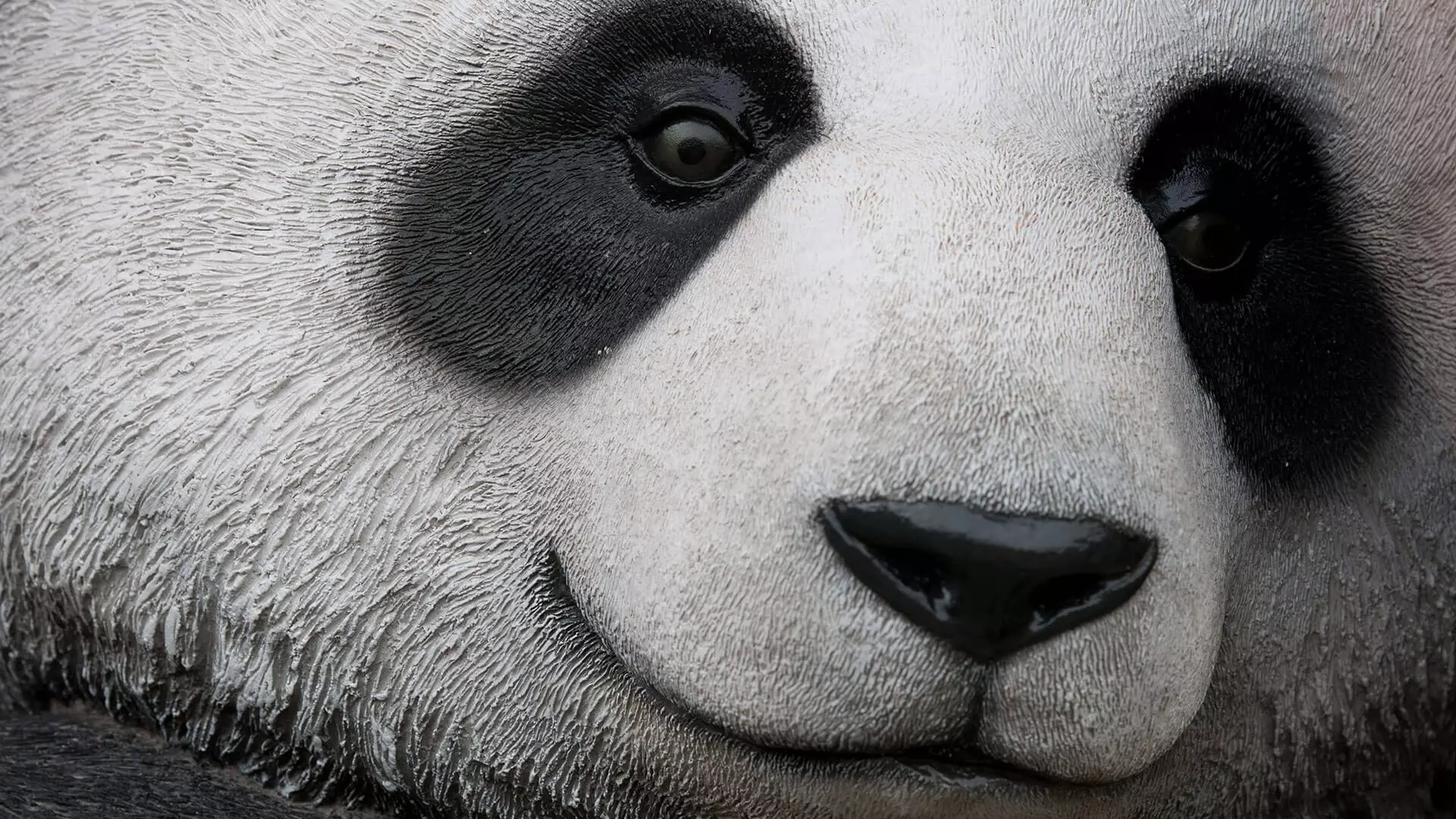 Panda 4.1 – 28-е оновлення Panda від Google – виходить