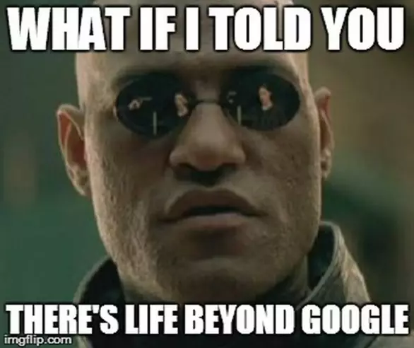 Life Beyond Google Meme