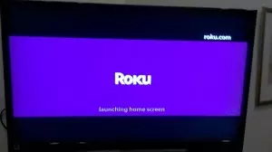 Roku: ការពិនិត្យ និងចាប់អារម្មណ៍ថ្ងៃដំបូងរបស់ខ្ញុំ 18883_1