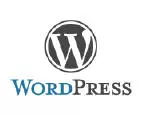 การตัดสินใจออกแบบ WordPress & CMS สำหรับการค้นหาข้ามชาติ 19423_1