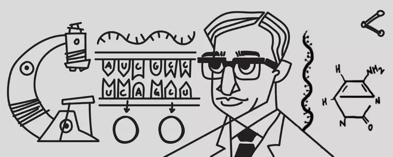 Har Gobind Khorana Doodle Google meraikan ahli kimia pertama yang membina gen sintetik 19524_3