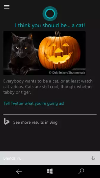 Bing Cortana, թե ինչ պետք է լինեմ Հելոուինի համար