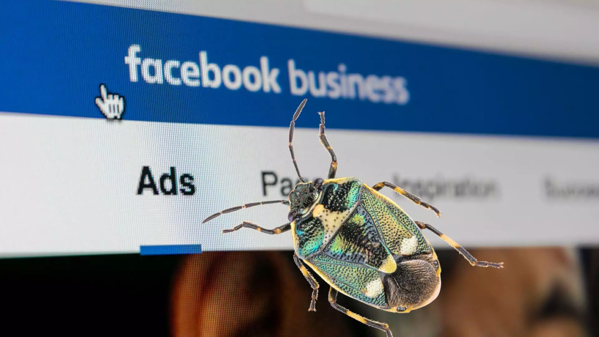 Daha fazla Facebook Ads hatası, Kara Cuma, Siber Pazartesi öncesinde reklamverenleri rahatsız ediyor