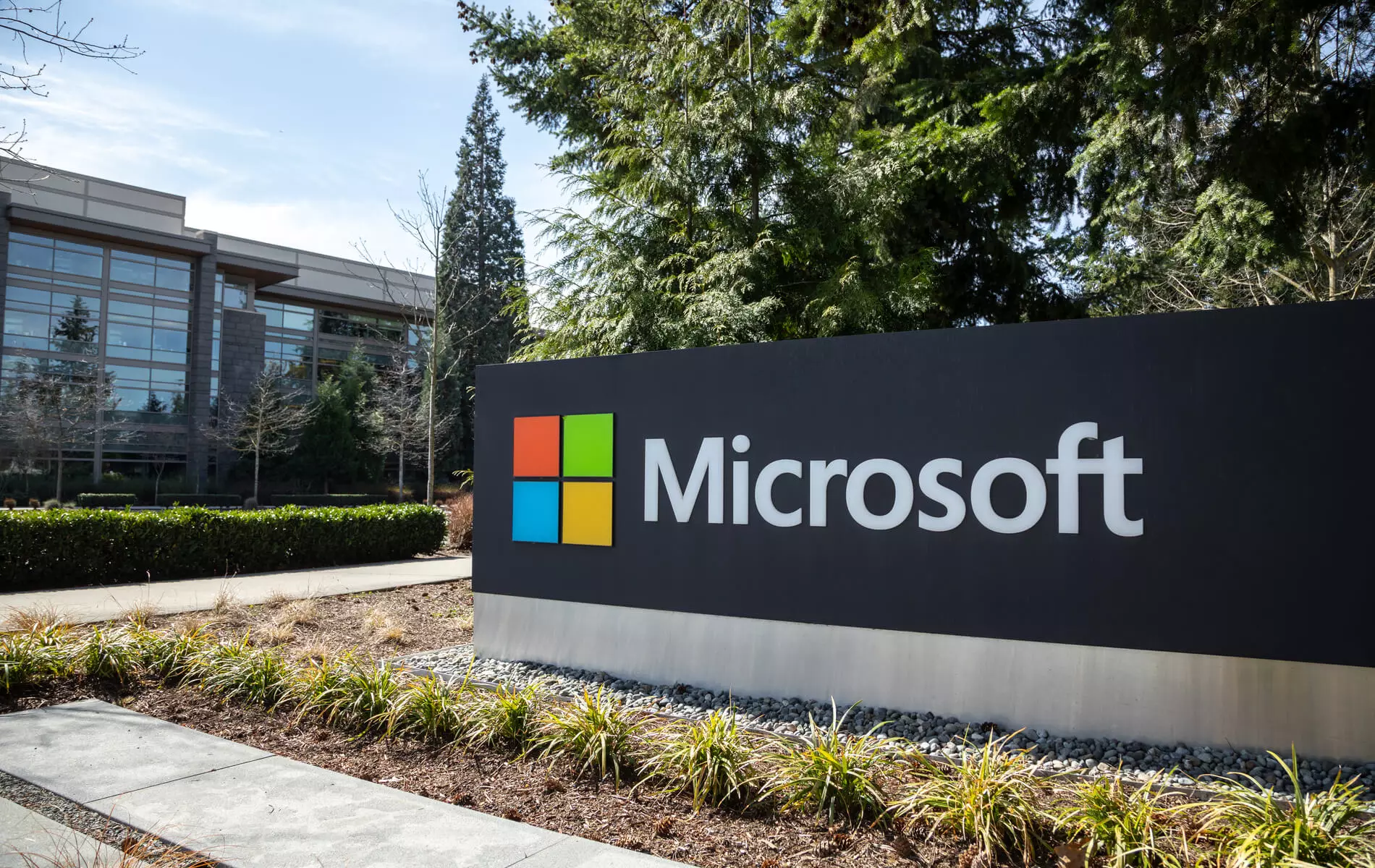 Gli annunci di assicurazione sanitaria di Microsoft Advertising sono qui in tempo per le iscrizioni aperte