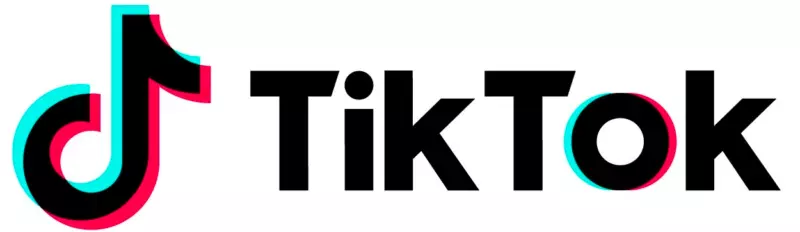 TikTok vs. Snapchat: E Guide fir Marketing 2207_3