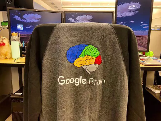 Rechercher dans les images : veste Google Brain, yeux de chiot et GoogleBot obsolète 22365_2