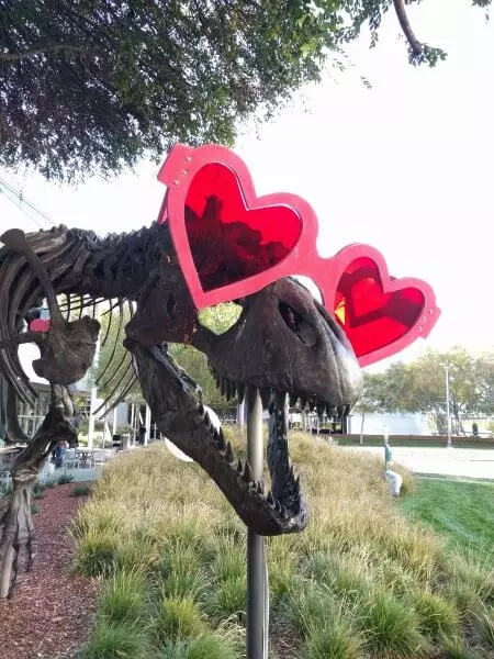 Google's Dinosaur, Stan In Heart Shades