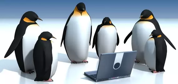 Tips og råd til gendannelse af Google Penguin Update