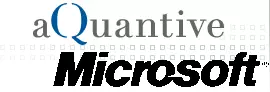 Microsoft quantitative