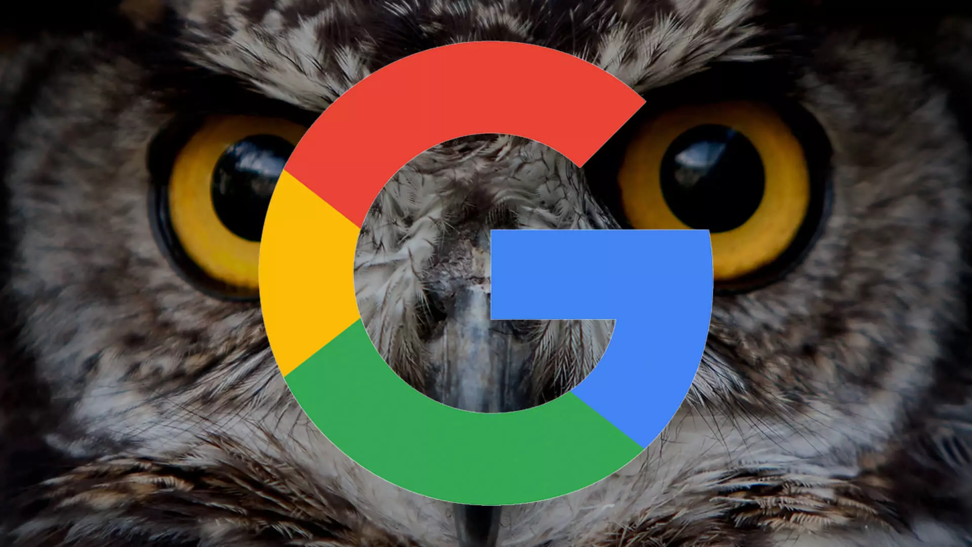 'Projeto Coruja' do Google - um ataque em três frentes a notícias falsas e conteúdo problemático 3054_1
