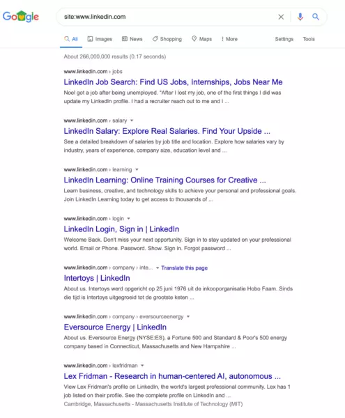 Oeps, LinkedIn falt tydlik út Google Search 3108_2