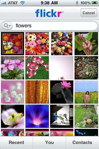 البحث في تطبيق Flickr iPhone