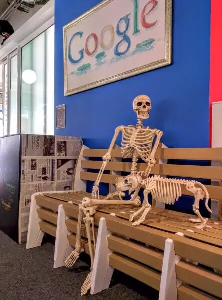 Google-da İnsan və İt Skeletləri