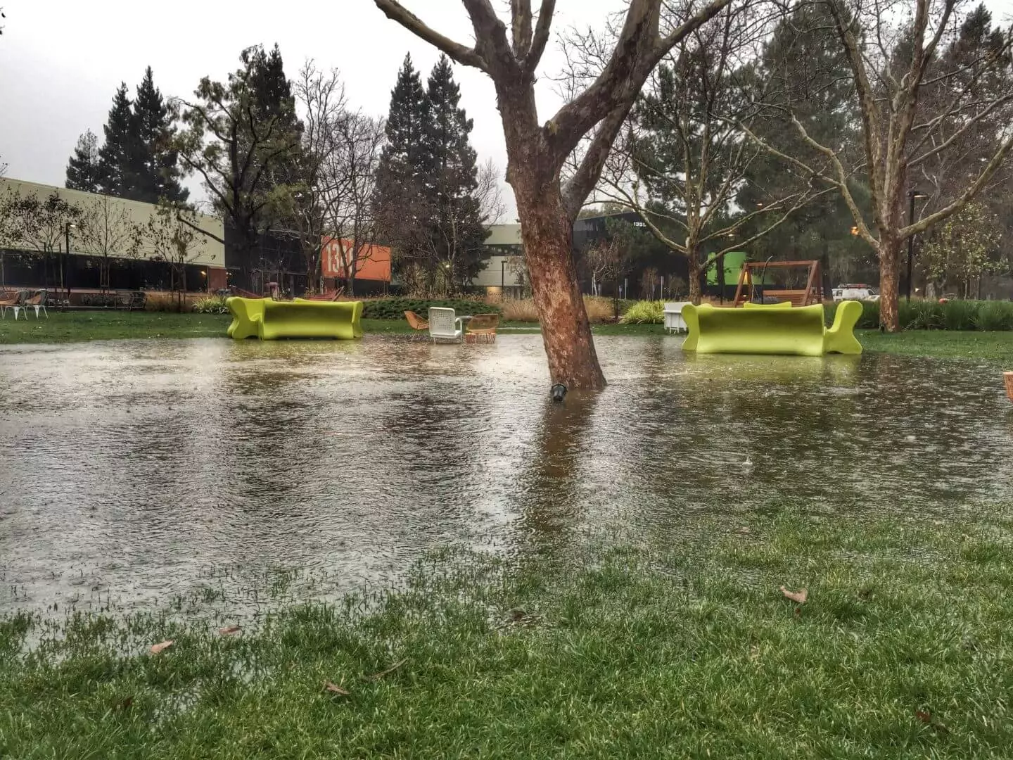 Zoeken in foto's: de Google Flood, dronken pinguïn en stormvoorbereiding