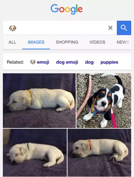 google-dog-emoji-umphumela-1463522644