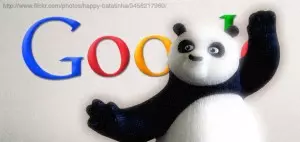 google-panda-онцлох