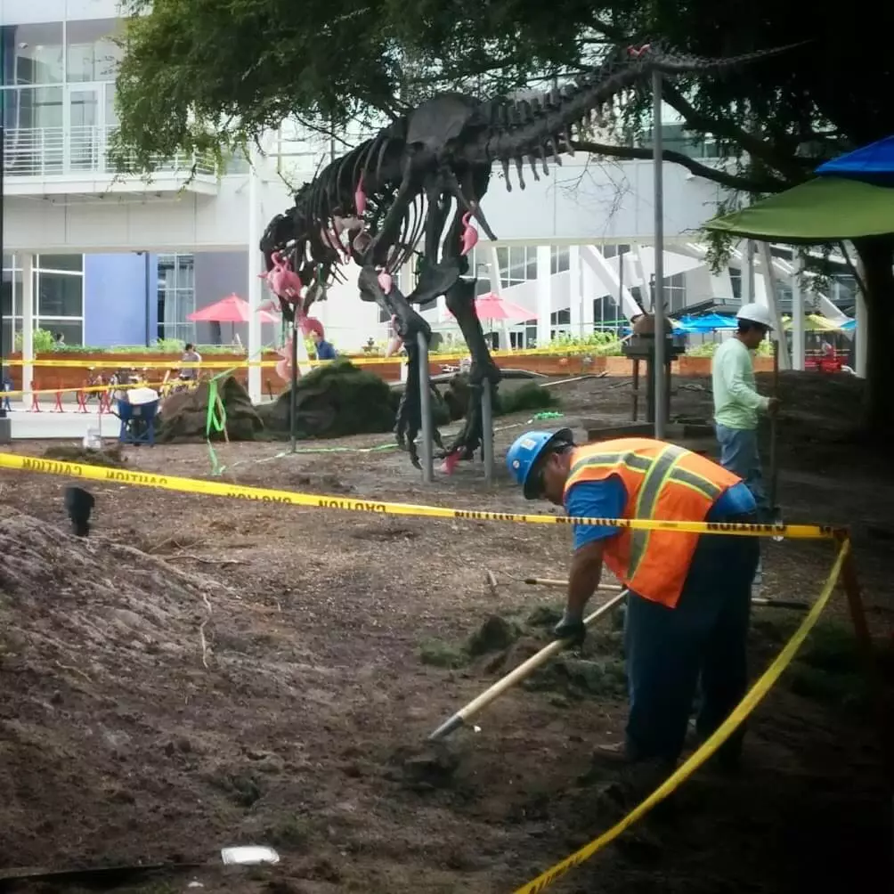 Pagpangita Sa Mga Litrato: Google Excavations, Google Massage Rooms & Cusco Peru Office