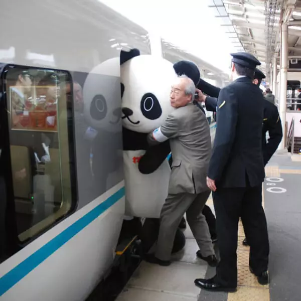 panda-boarding-train-1397491366