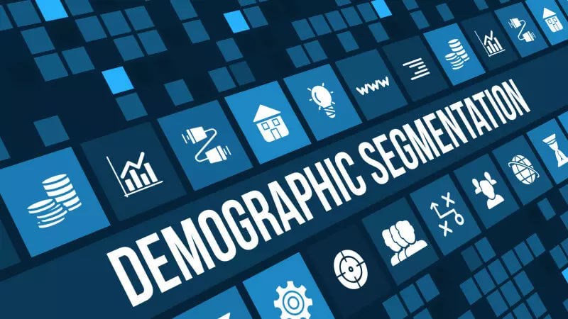 idemographic-segmentation-ss-1920