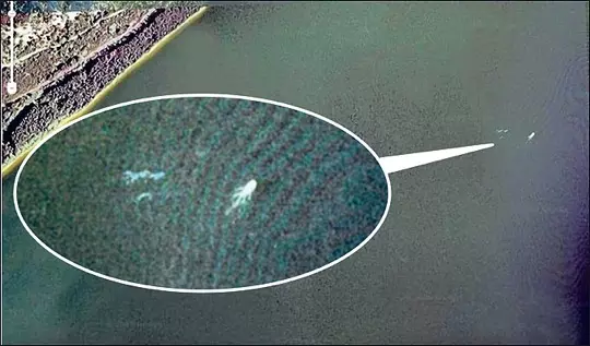 Shin wannan Loch Ness Monster ne? A kan Google Earth?