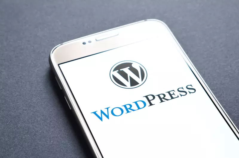 Ылдамдыктын зарылдыгы: Google WordPress экосистемасынын өнүгүшүн тездетүү үчүн инженердик топту арнайт