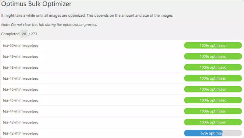 Optimus Irudiaren optimizazioak