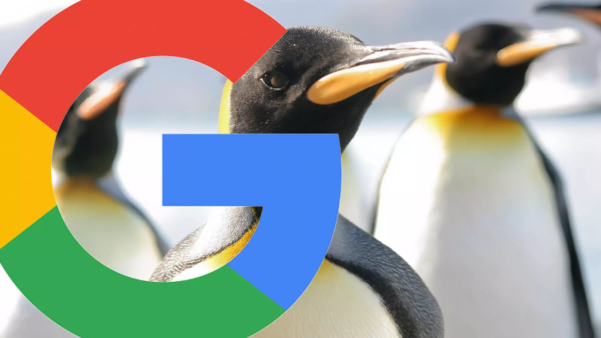 google-pingviin-2016d-ss-1920