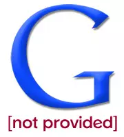 google-not-provided