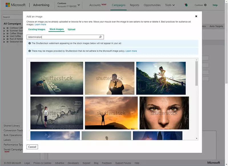 تقدم Microsoft Advertising صورًا مجانية للمخزون لإعلانات الجمهور 5548_1