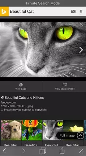 מצב חיפוש פרטיות של Bing BeautifulCat2