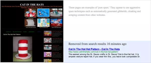 cat-in-the-hat-spam