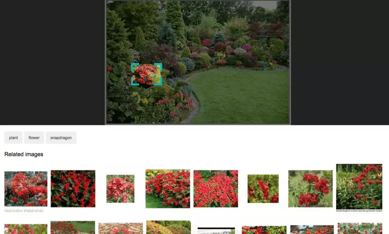 A Bing Visual Search lehetővé teszi a képeken belüli konkrét objektumok keresését 6360_2