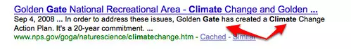 Google en Climategate