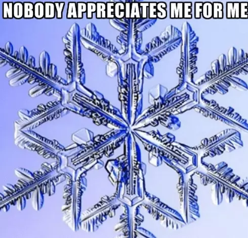 meme especial de copo de neve