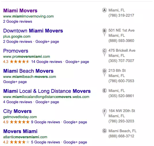 Chim bồ câu Miami Movers
