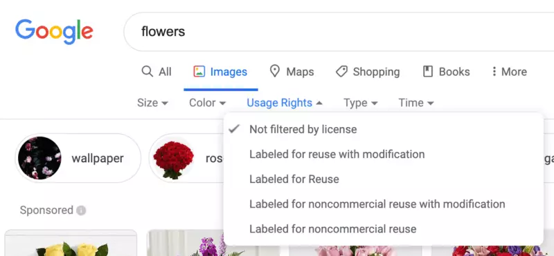 Google ने आधिकारिक तौर पर छवि खोज में 'लाइसेंस योग्य' छवि लेबल और फ़िल्टर लॉन्च किया 8975_3
