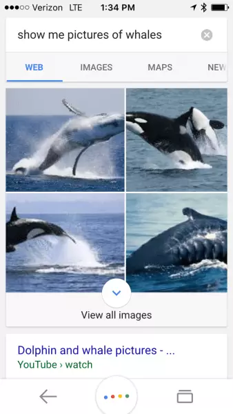 クジラのリクエストされた写真